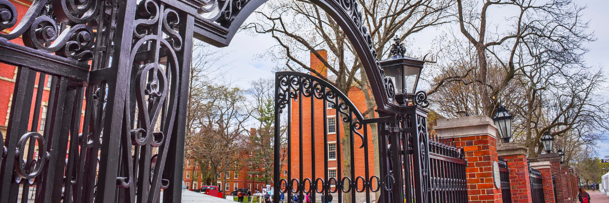 Maximize Your College Application Success with College Counseling ...